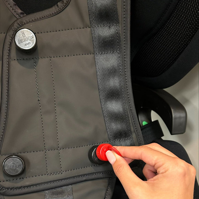 Magnetic Harness – In Car Safety Centre
